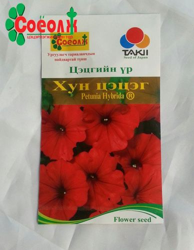 Хун цэцгийн үр Hun Tsetsgiin Ur